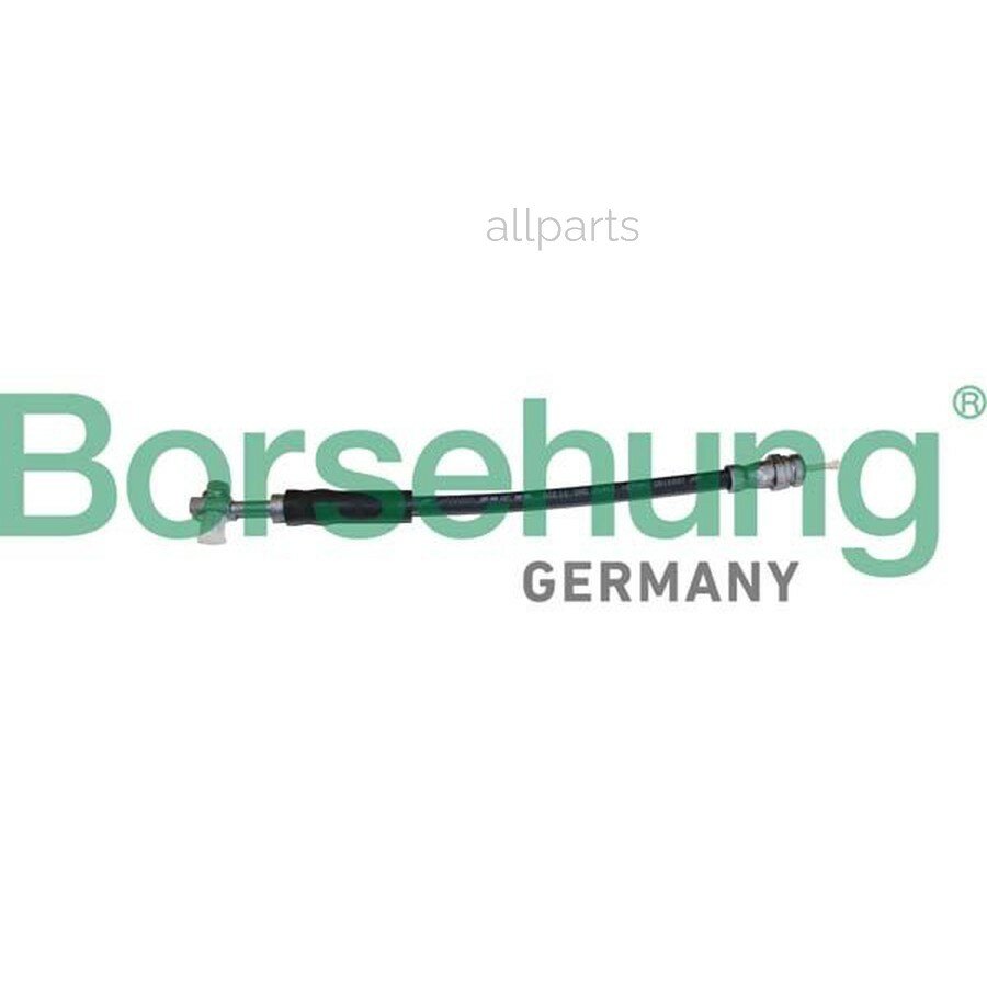 BORSEHUNG B10950 Тормозной шланг задний