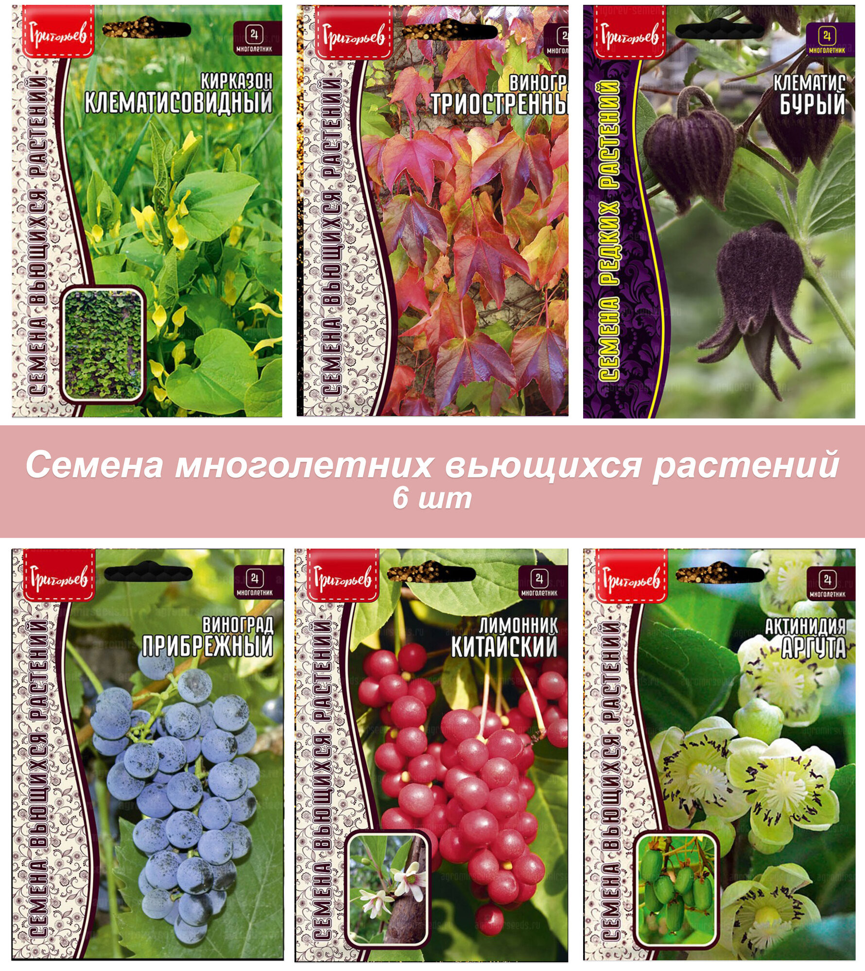 Семена многолетних лиан и вьющихся растений