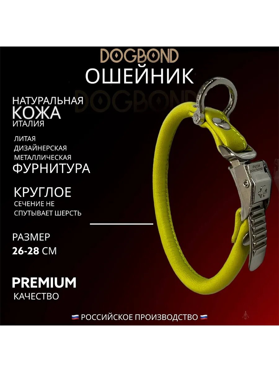 Ошейник Dogbond круглый для шпица