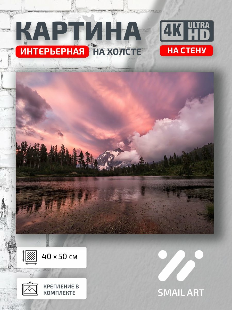 Картина на холсте интерьерная 40 на 50 на стену Деревья Landscape для офиса пейзаж интерьер