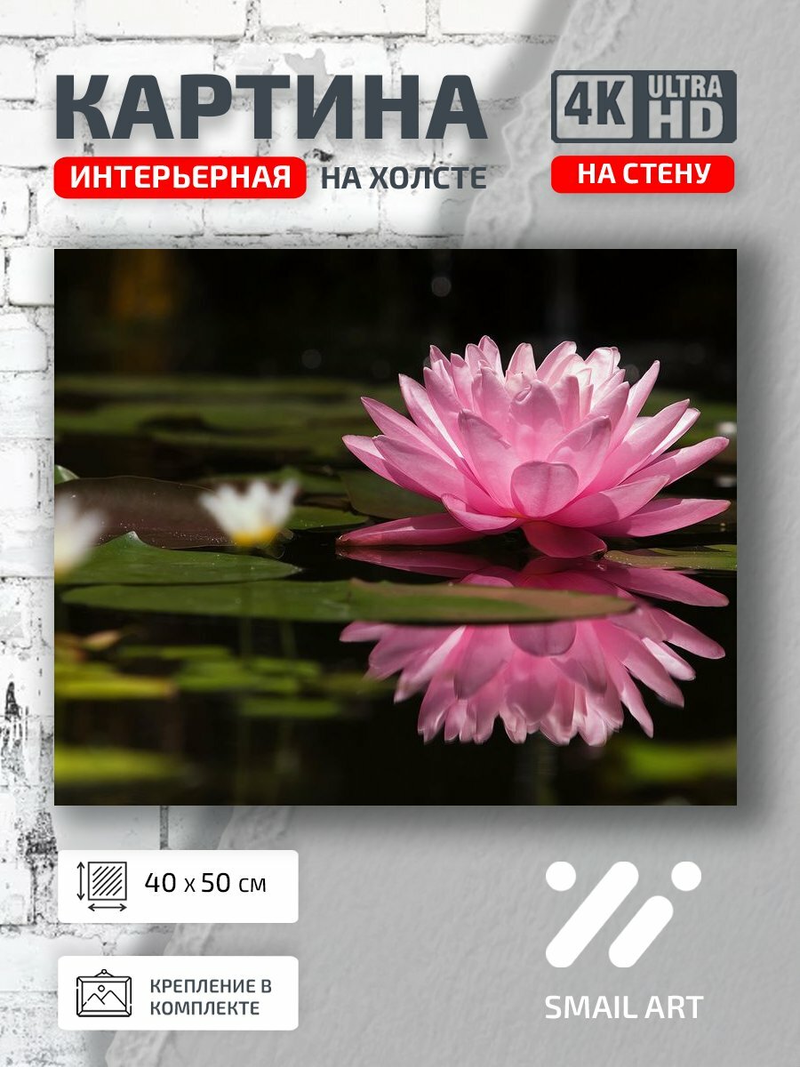 Картина на холсте интерьерная 40 на 50 на стену Лотос Landscape для кабинета пейзаж декор