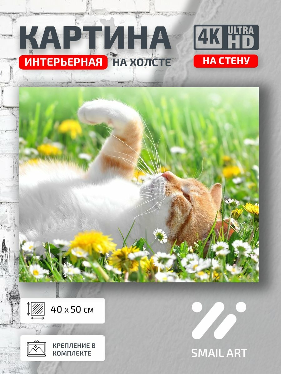 Картина на холсте интерьерная 40 на 50 на стену Одуванчики Animal для кабинета animal style