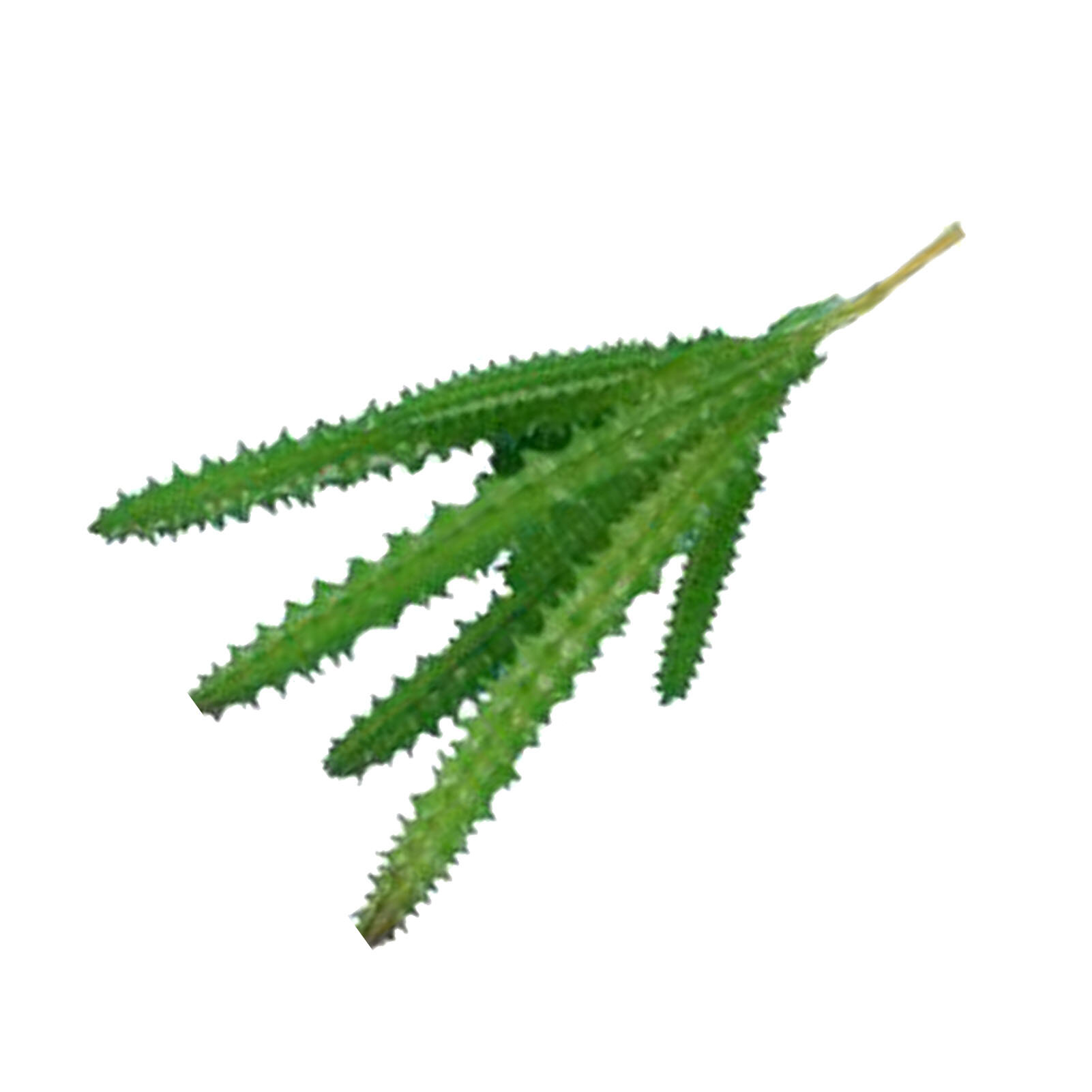 Искусственное суккулентное растение из мягкого ПВХ с высокой имитацией мини-искусственное растение для украшения стола для домашнего офиса Тип 1