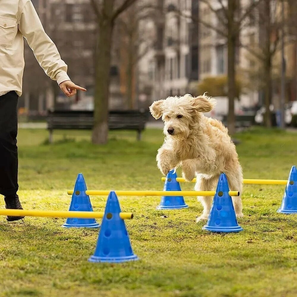 Оборудование для тренировки собак на аджилити, две конусообразные бочки с круглым дном по 30 см, один двухсекционный шест длиной 1 метр