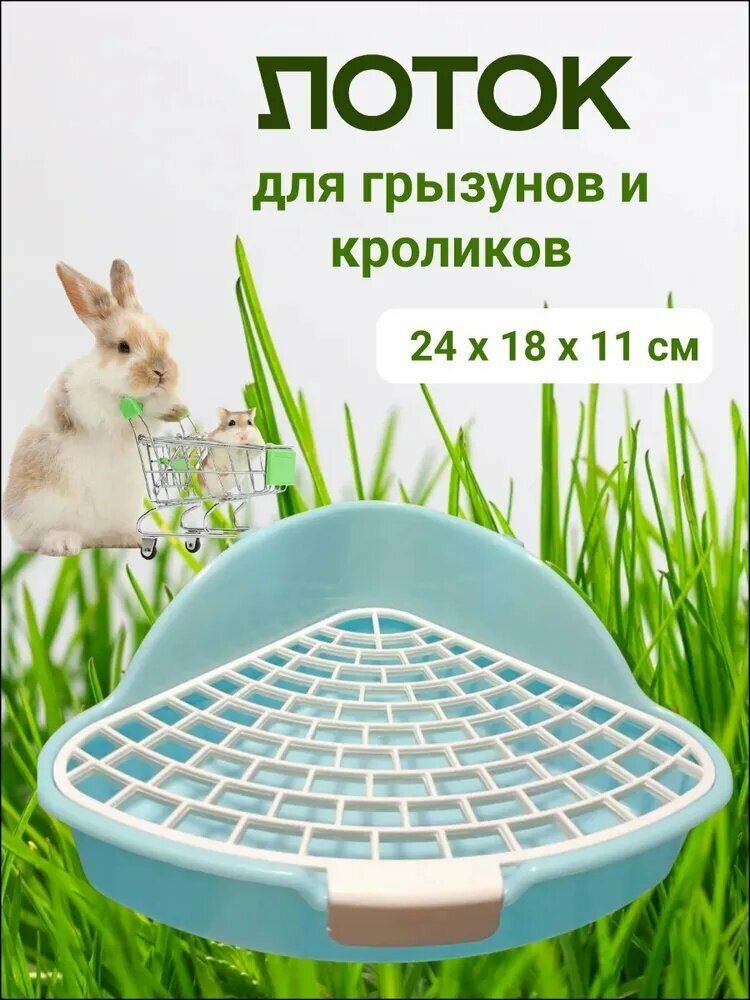 Лоток с сеткой для кроликов и грызунов, хомяков, морских свинок и крыс