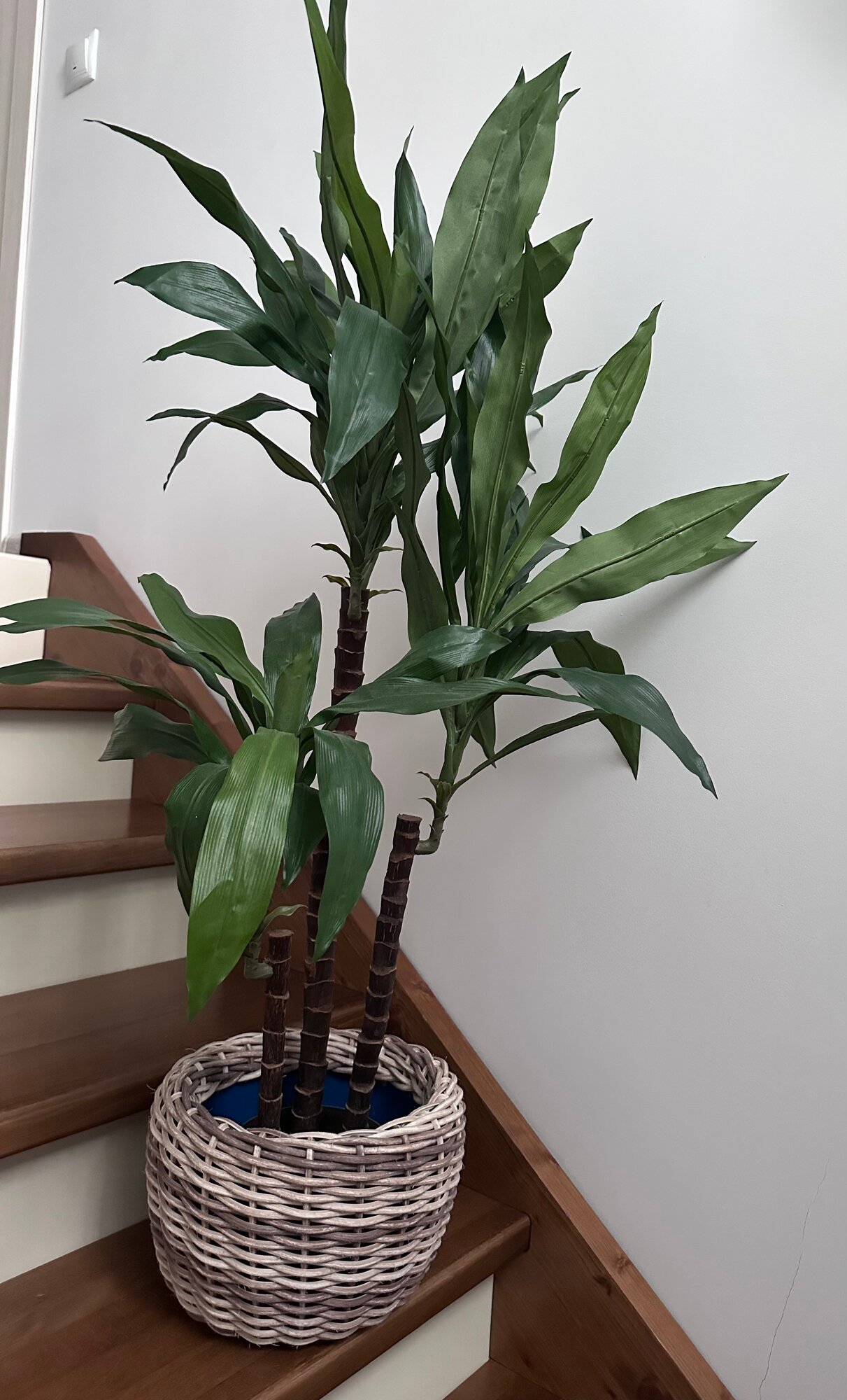 Кашпо из ротанга широкое