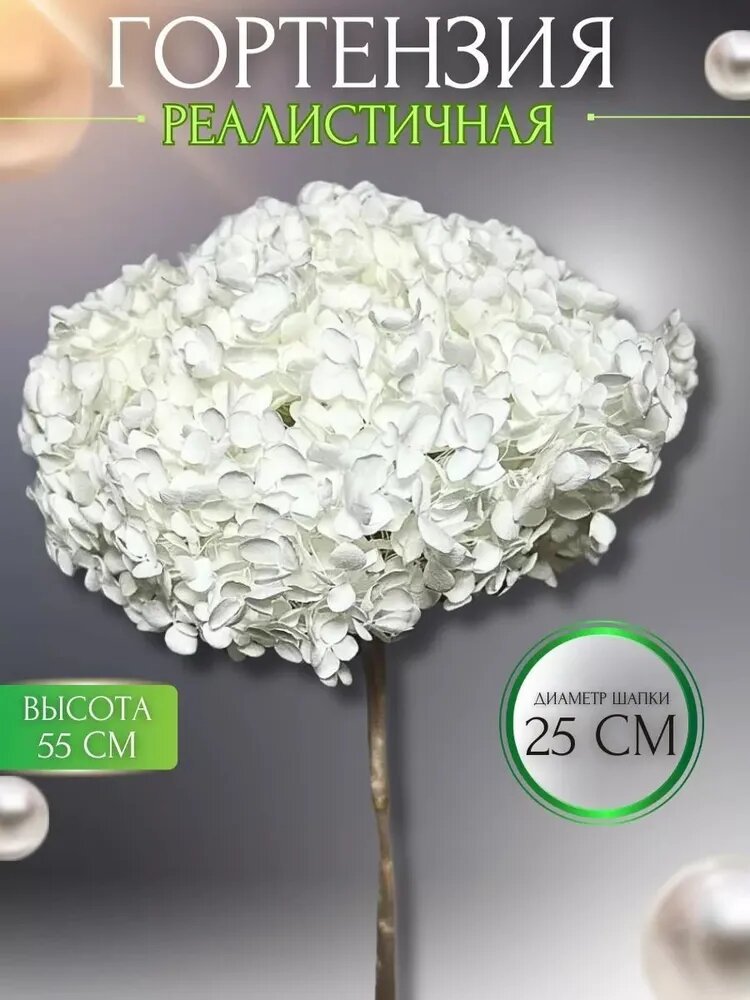 Стабилизированные цветы Гортензия, 55 см, 50 гр, 1 шт