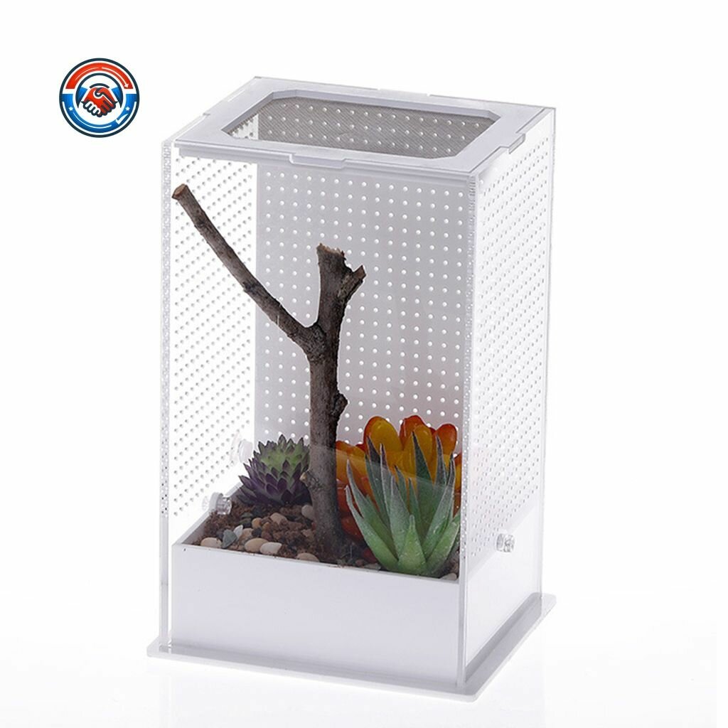 Прозрачный акриловый террариум для насекомых и мелких рептилий, вентилируемый контейнер с зоной озеленения, 360 обзор, S и L размеры, удобный для кормления и транспортировки пауков, скорпионов, сверчков