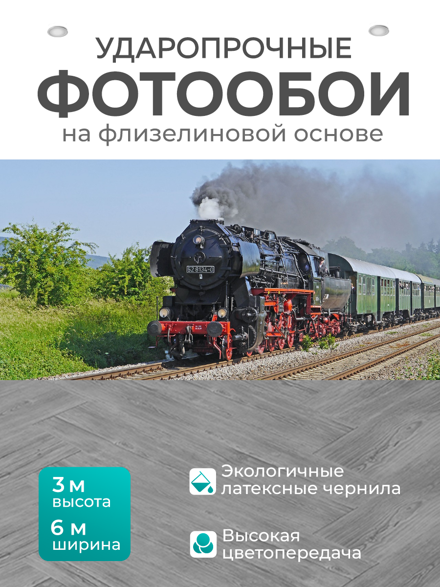 Фотообои моющиеся ударопрочные "Паровоз, специальная поездка, железная дорога" 600x300 см. флизелиновые на стену