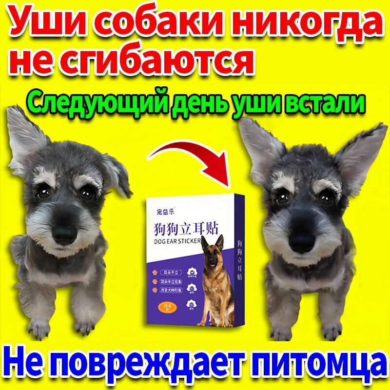 Корректор ушей для собак фиксирующее устройство и пластырь для правильной постановки ушей