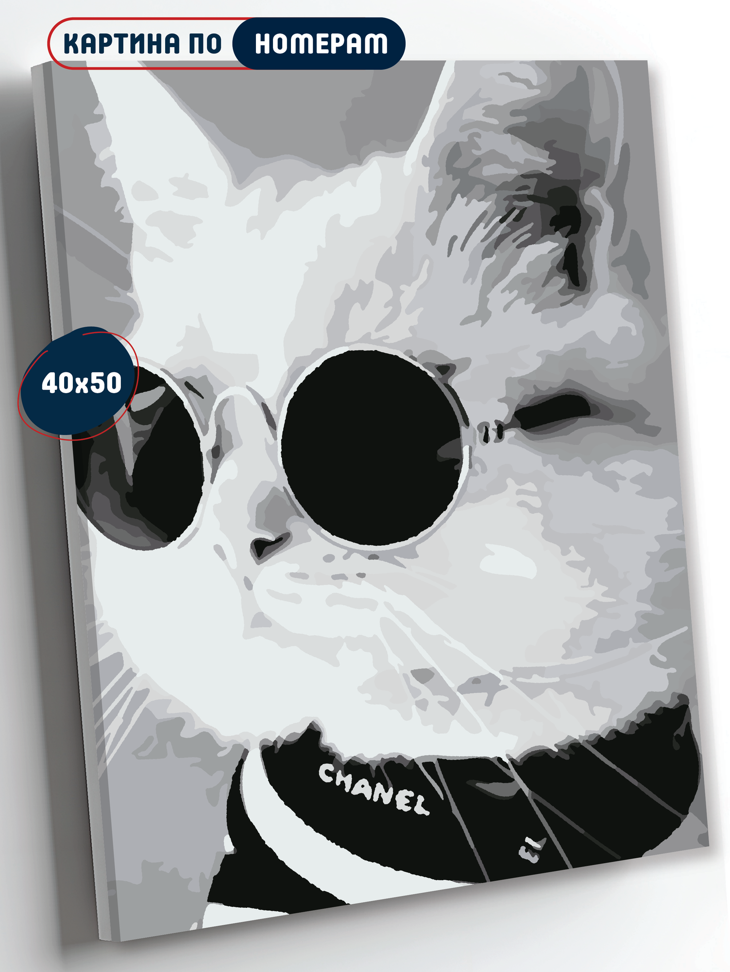 Картина по номерам "Кот в очках", Холст на подрамнике 40х50, набор для рисования, с кошкой