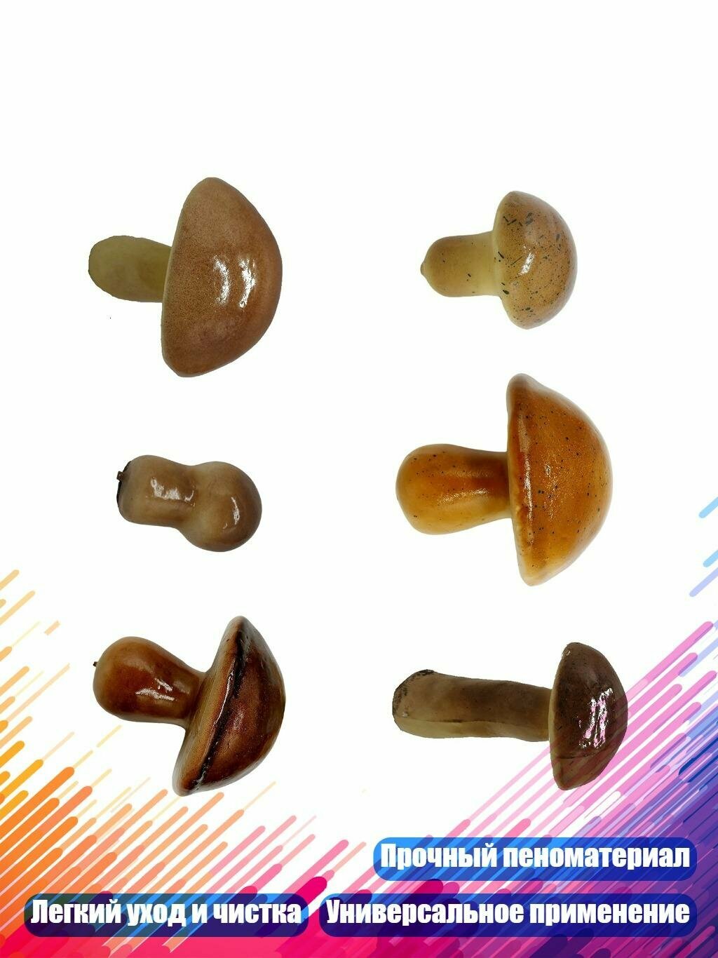 Набор из 6 реалистичных грибов из пенопласта