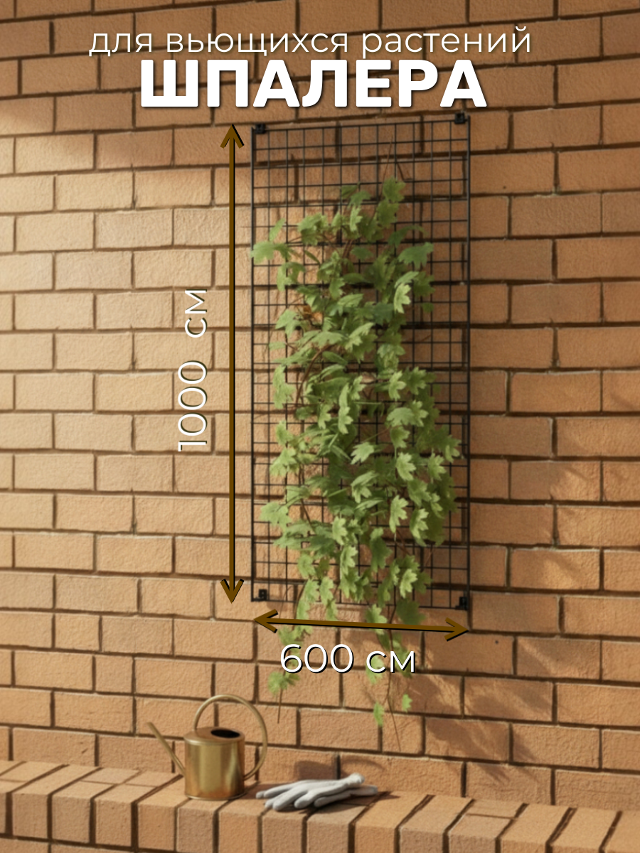 Шпалера 1000x600мм, настенная, садовая опора для растений, черный матовый