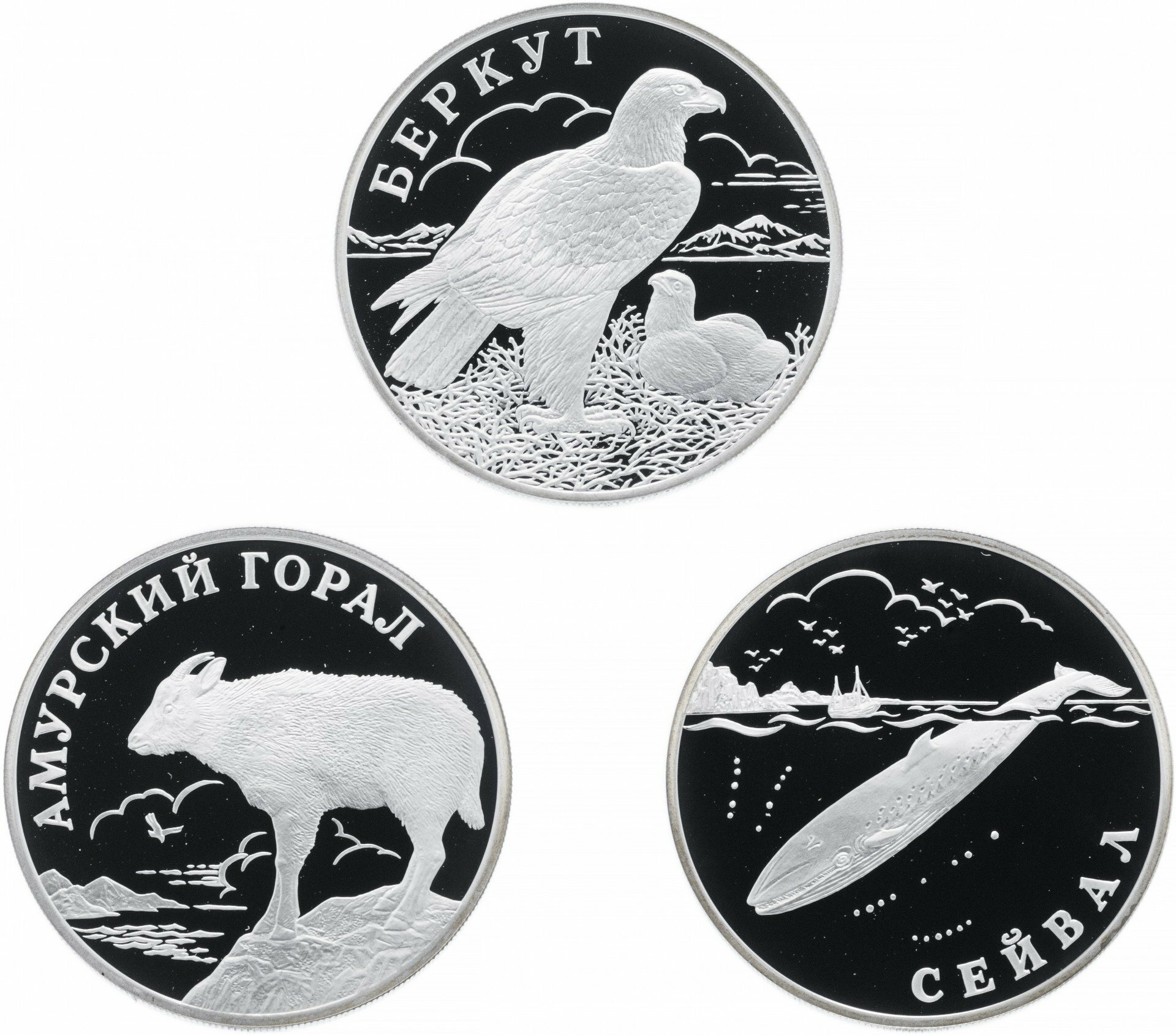 Набор из 3х монет 1 рубль 2002 СПМД Proof "Красная книга - беркут, сейвал, горал", Серебро 900