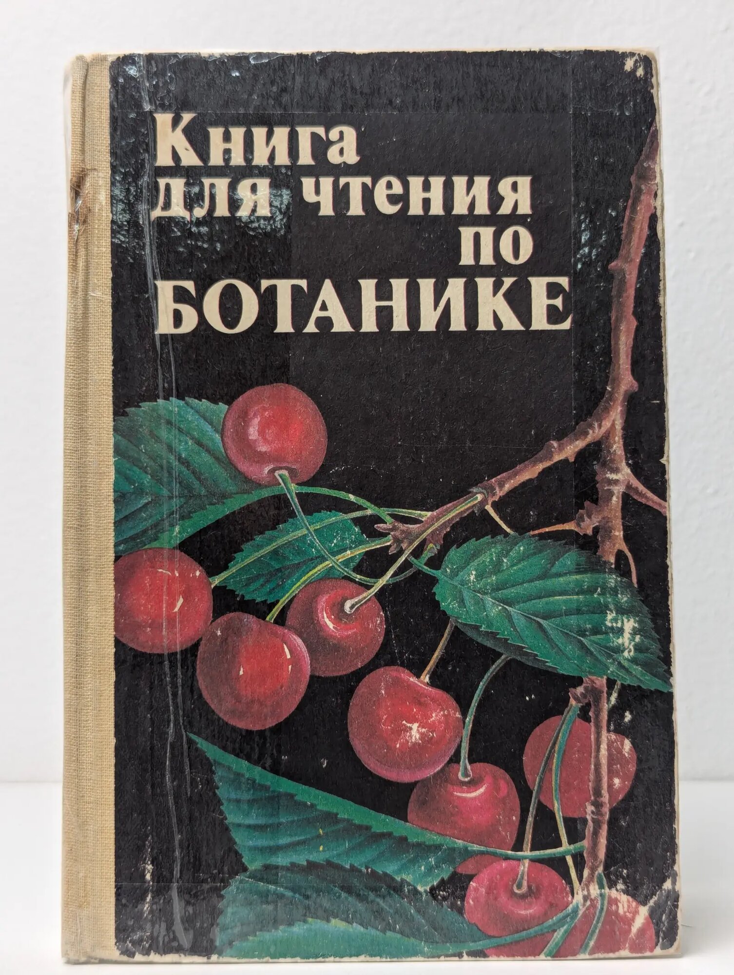 Книга для чтения по ботанике. Для учащихся 5–6 классов Трайтак Дмитрий Илларионович 1985