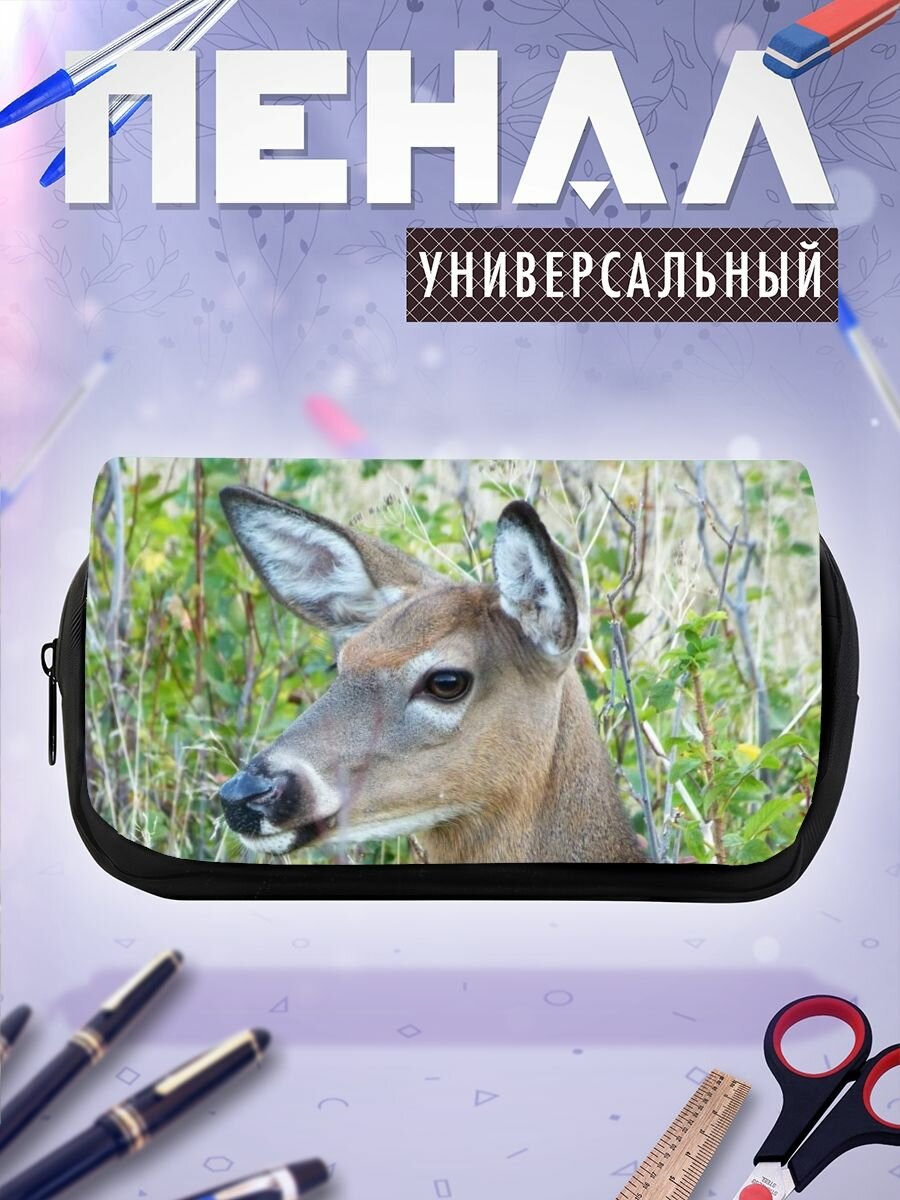 Школьный пенал олень живая природа