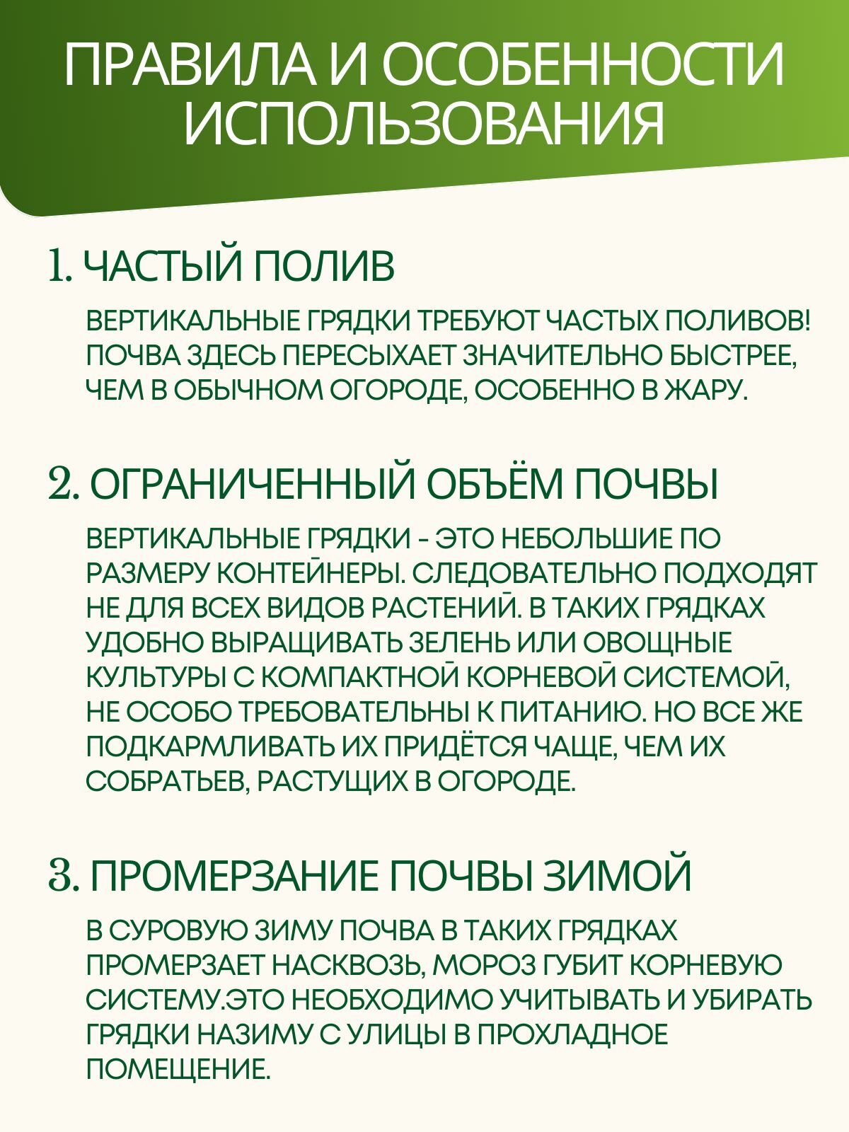 Грядка — фото 1