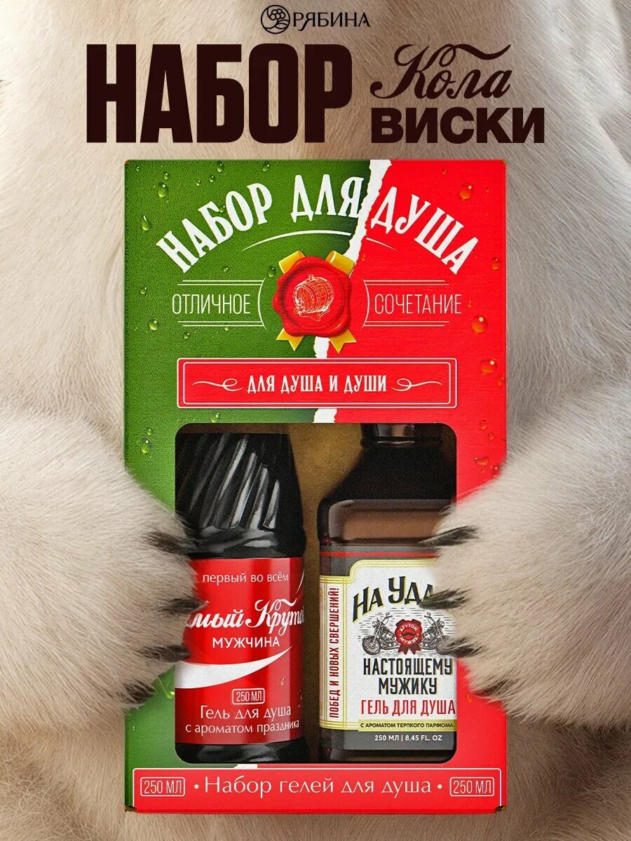 Подарочный набор "Для душа и души", гель для душа, 2 х 250 мл, подарок на 23 февраля мужчине