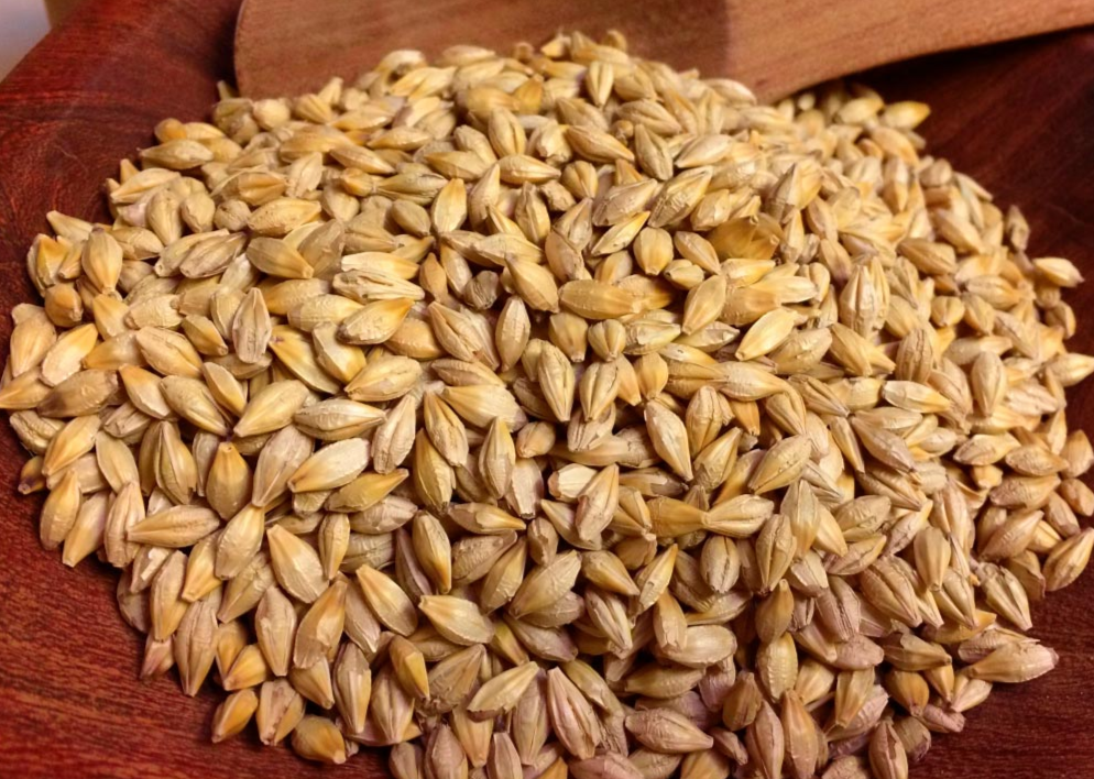 Ячмень кормовой (фуражный) , неочищенный, урожай 2025 года, фасовка 10 кг