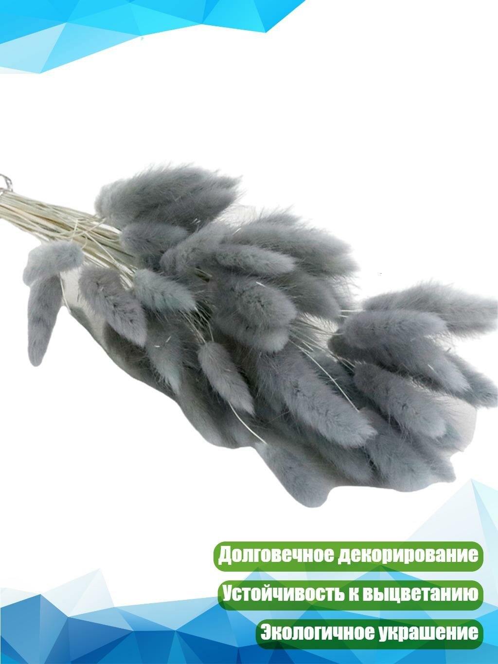 Сушеные хвосты кролика — 55 шт, Сплошной цвет 56