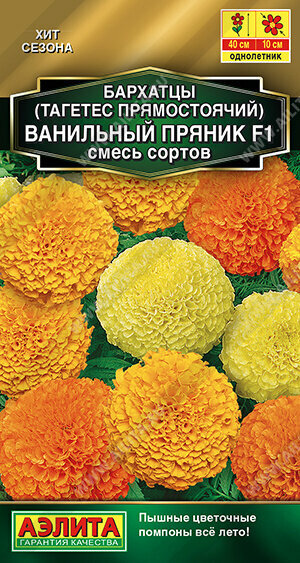 Бархатцы Ванильный пряник F1, смесь сортов