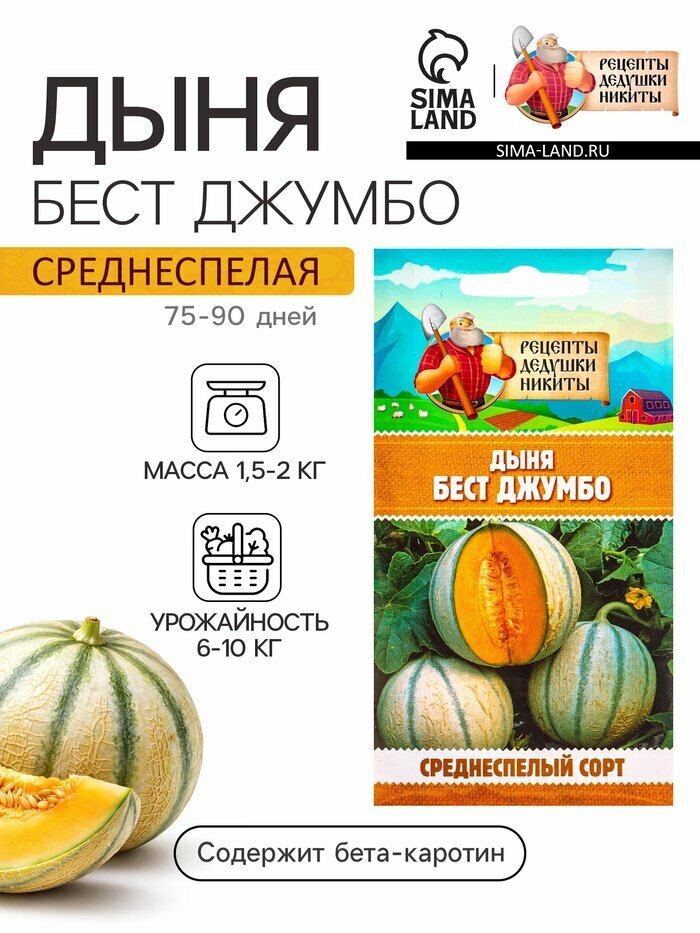 Семена Дыня Бест Джумбо, 1 г, Рецепты дедушки Никиты, 2 шт.