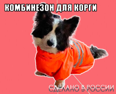 Дождевик-комбинезон для вельш корги кардиган кобеля, повышенной прочности, цвет оранжевый, со светоотражающими полосами