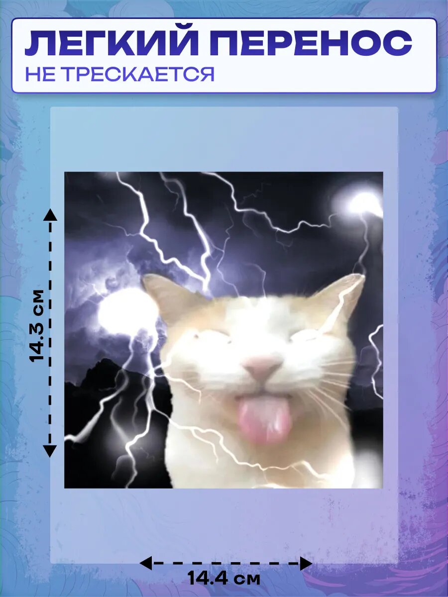 Термонаклейка cat meme — фото 1