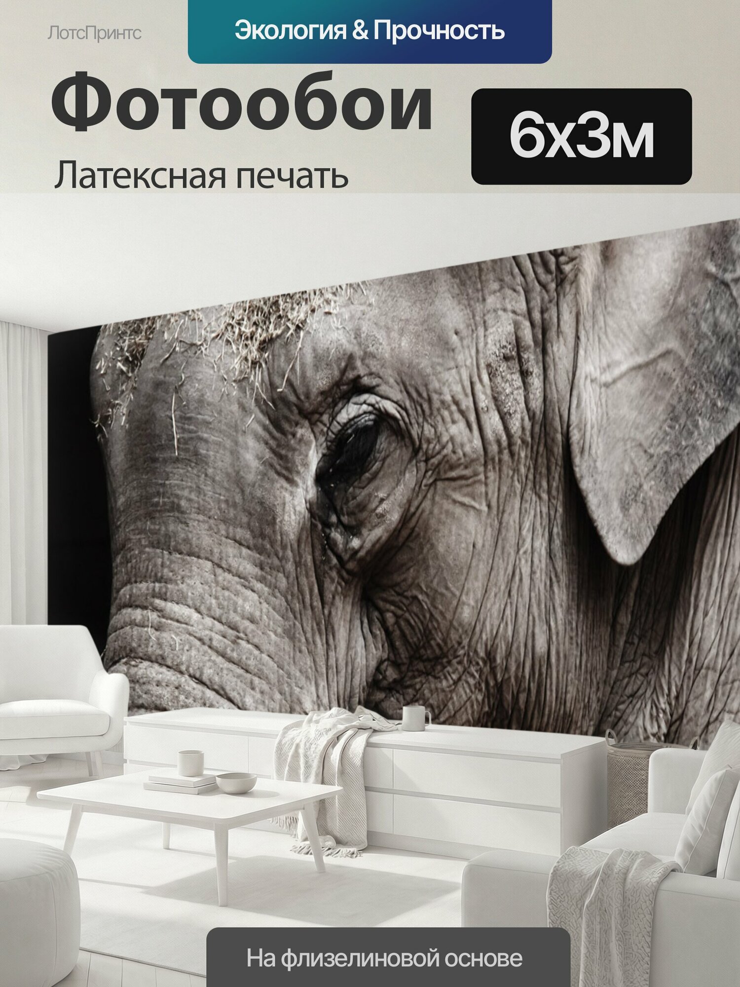 Фотообои моющиеся ударопрочные "Слон портрет черно-белая фотография слона животных большой черный крупный план деталь слон глаз лица головы." 600x300 см. латексная печать