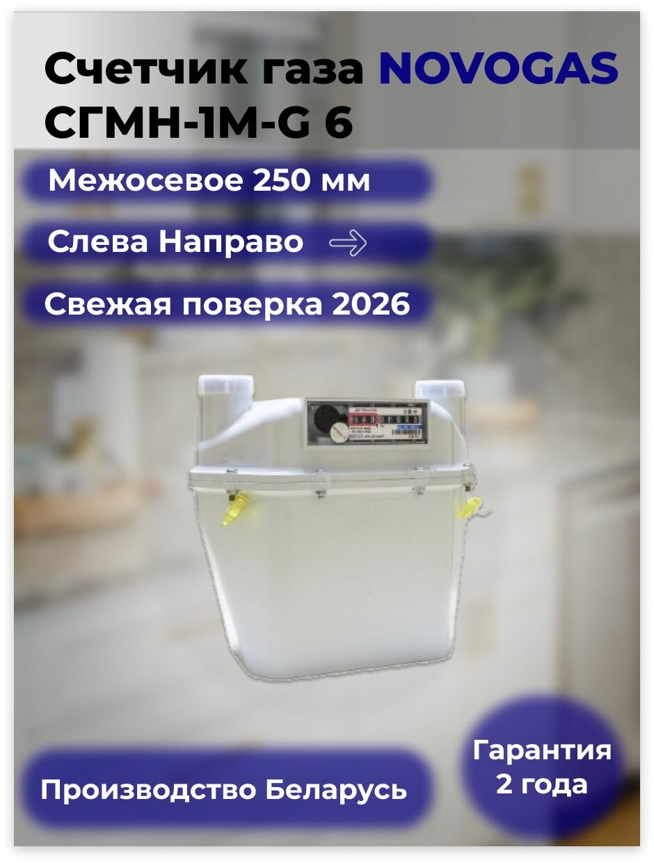 Счетчик газа NOVOGAS СГМН-1М-G 6 межосевое 250 мм, левый 1 1/4" слева направо
