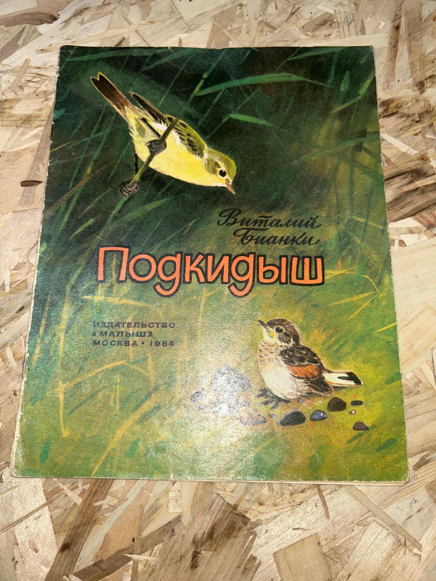 Подкидыш