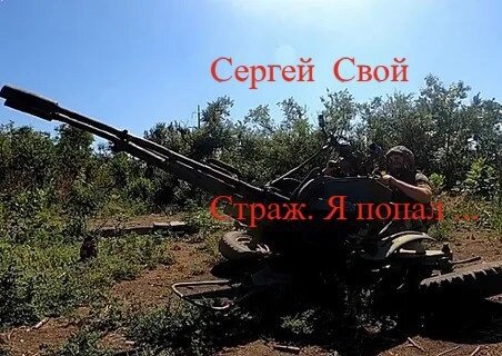 Страж. Я попал .