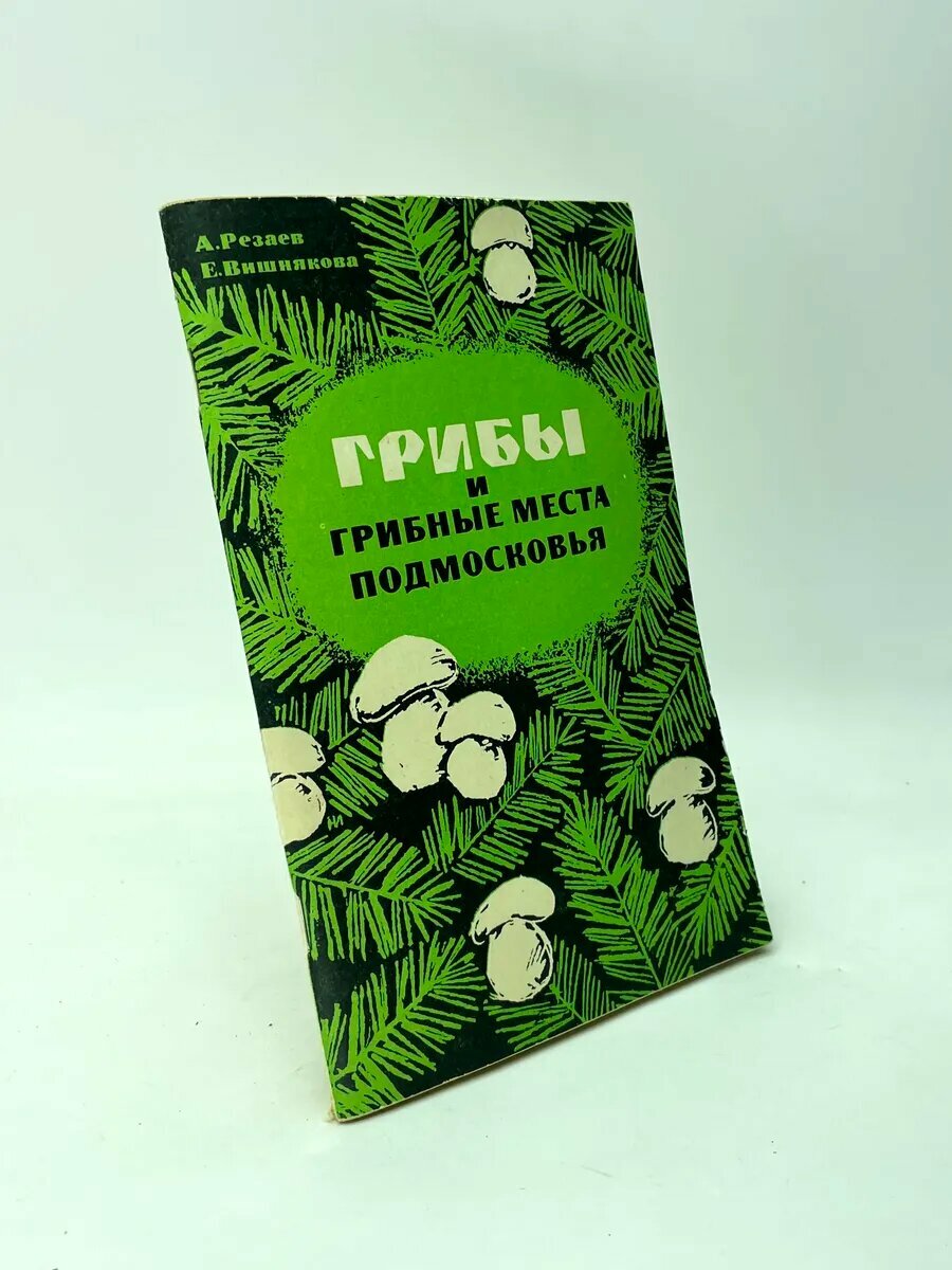 Грибы и грибные места подмосковья