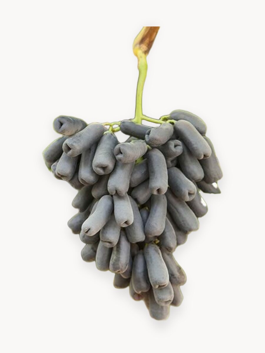 Виноград кишмиш Аватар (Капли луны) / 1 шт, позднеспелый сорт