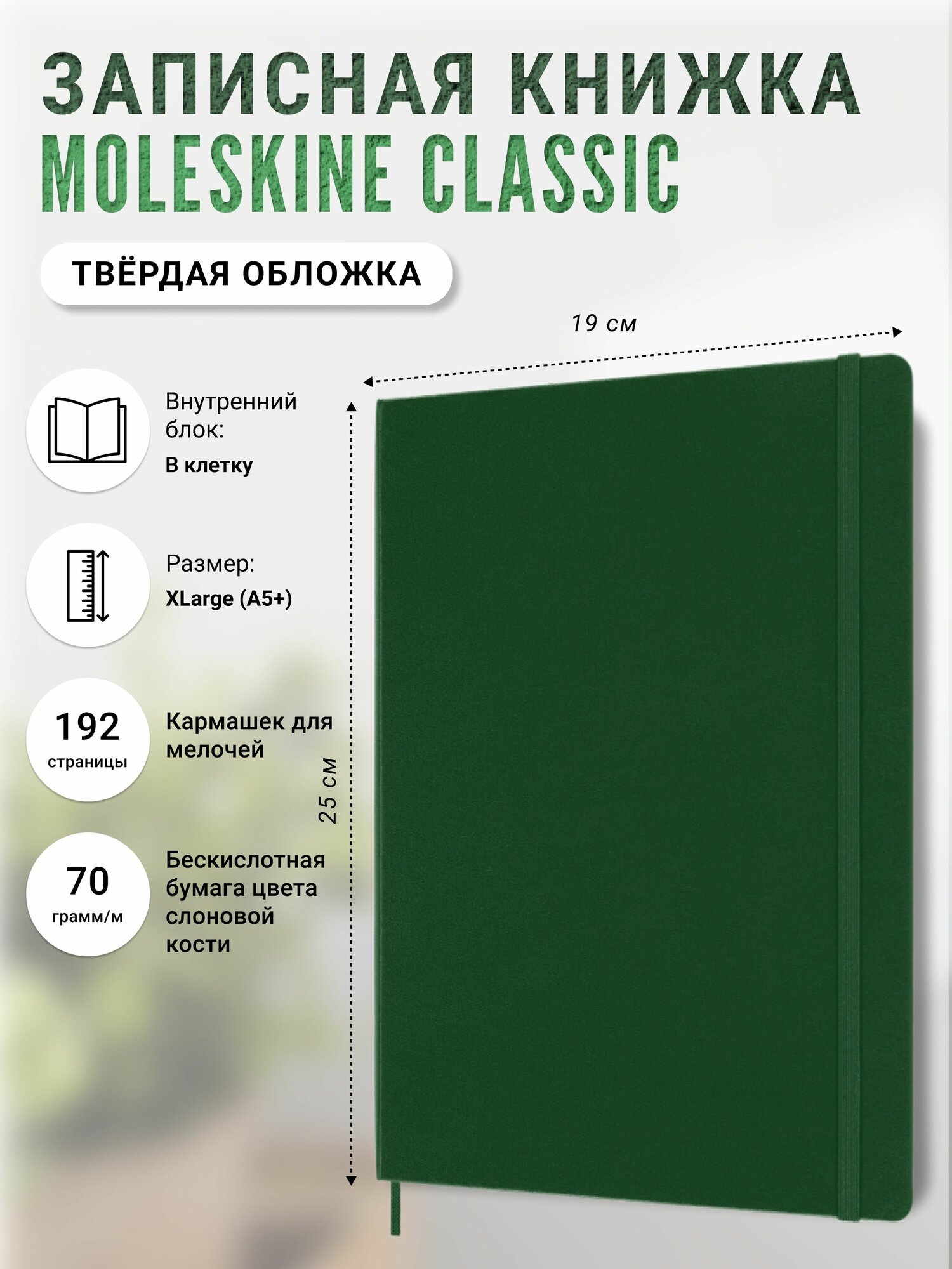 Записная книжка Moleskine Classic в твердой обложке (в клетку), XLarge (19х25см), зеленая