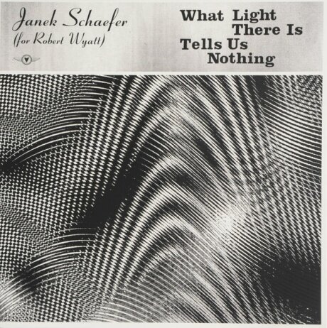 JANEK SCHAEFER What Light There Is Tells Us Nothing (Виниловая пластинка)
