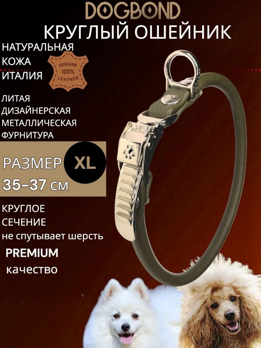 Ошейник Dogbond круглый для японских шпицев и пуделей