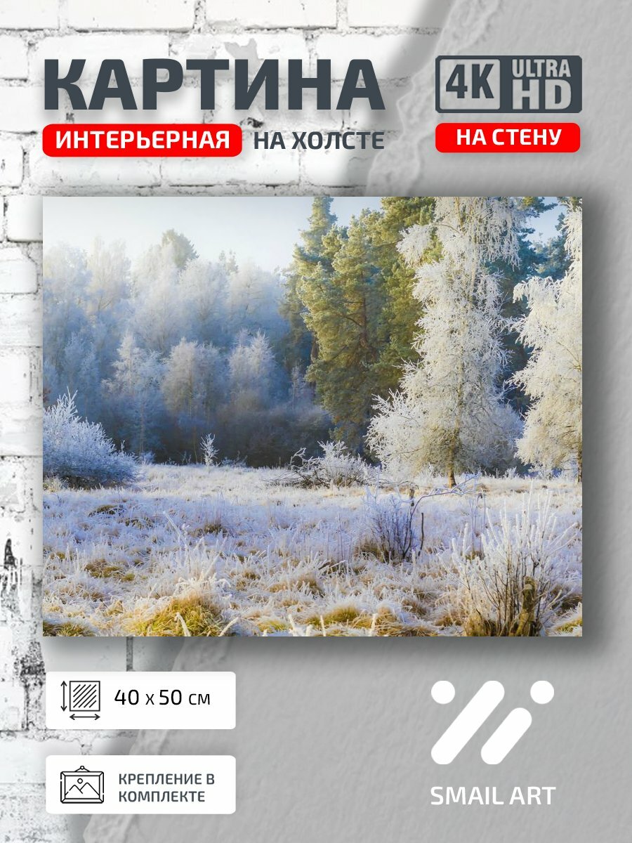 Картина на холсте интерьерная 40 на 50 на стену Деревья Landscape для кабинета пейзаж декор