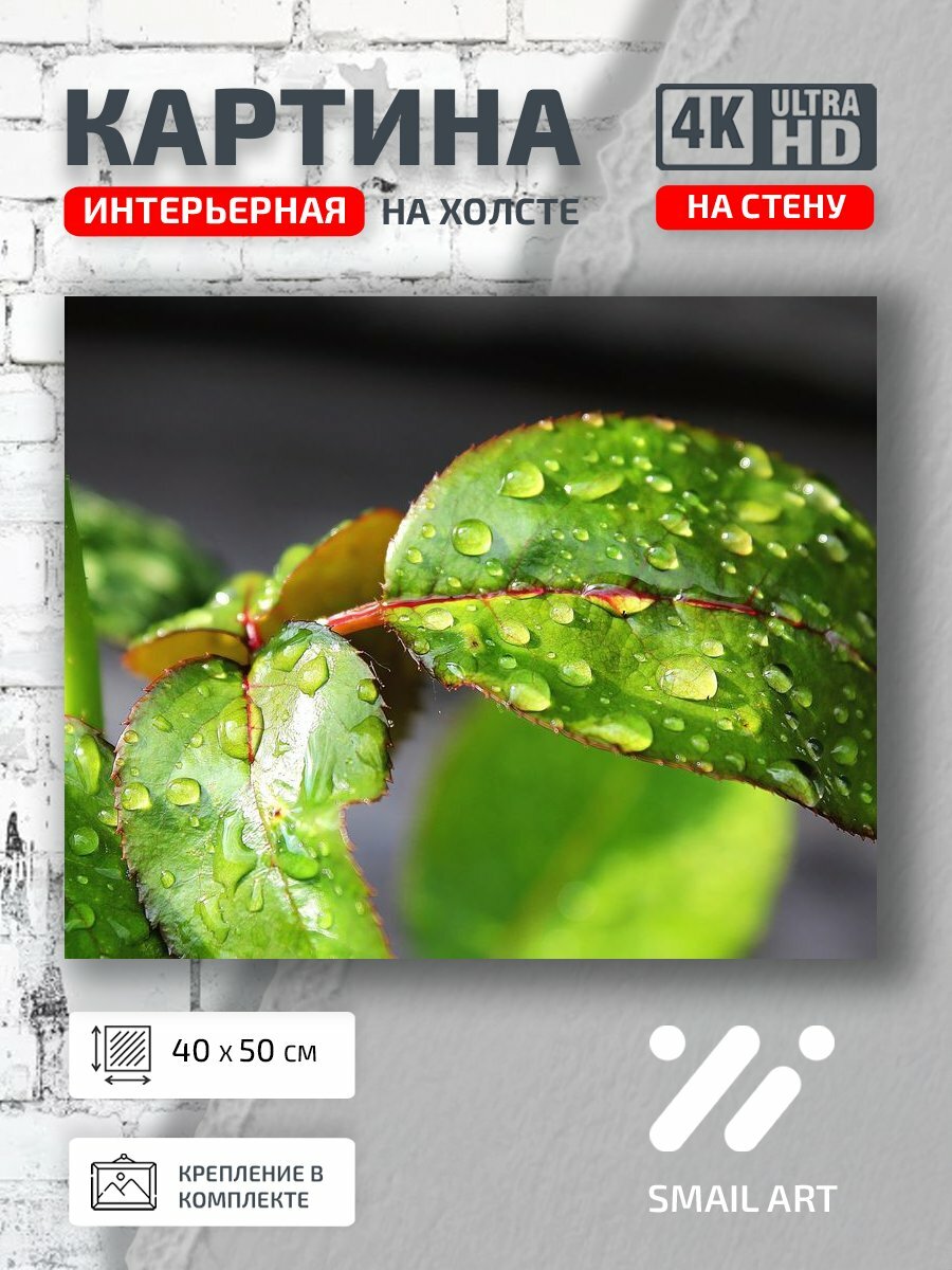Картина на холсте интерьерная 40 на 50 на стену Дождя Landscape для кабинета пейзаж декор