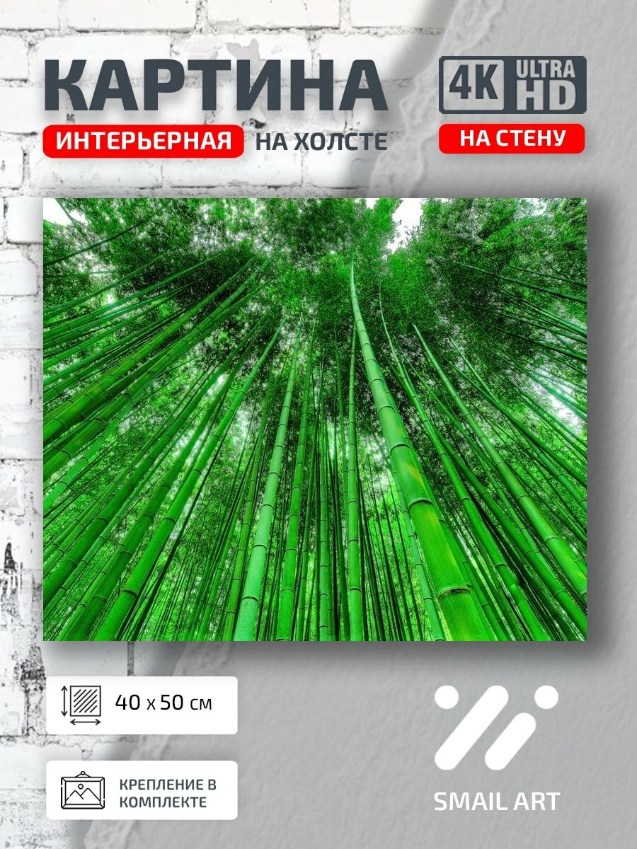 Картина на холсте интерьерная 40 на 50 на стену бамбуковой рощи для гостиной пейзаж