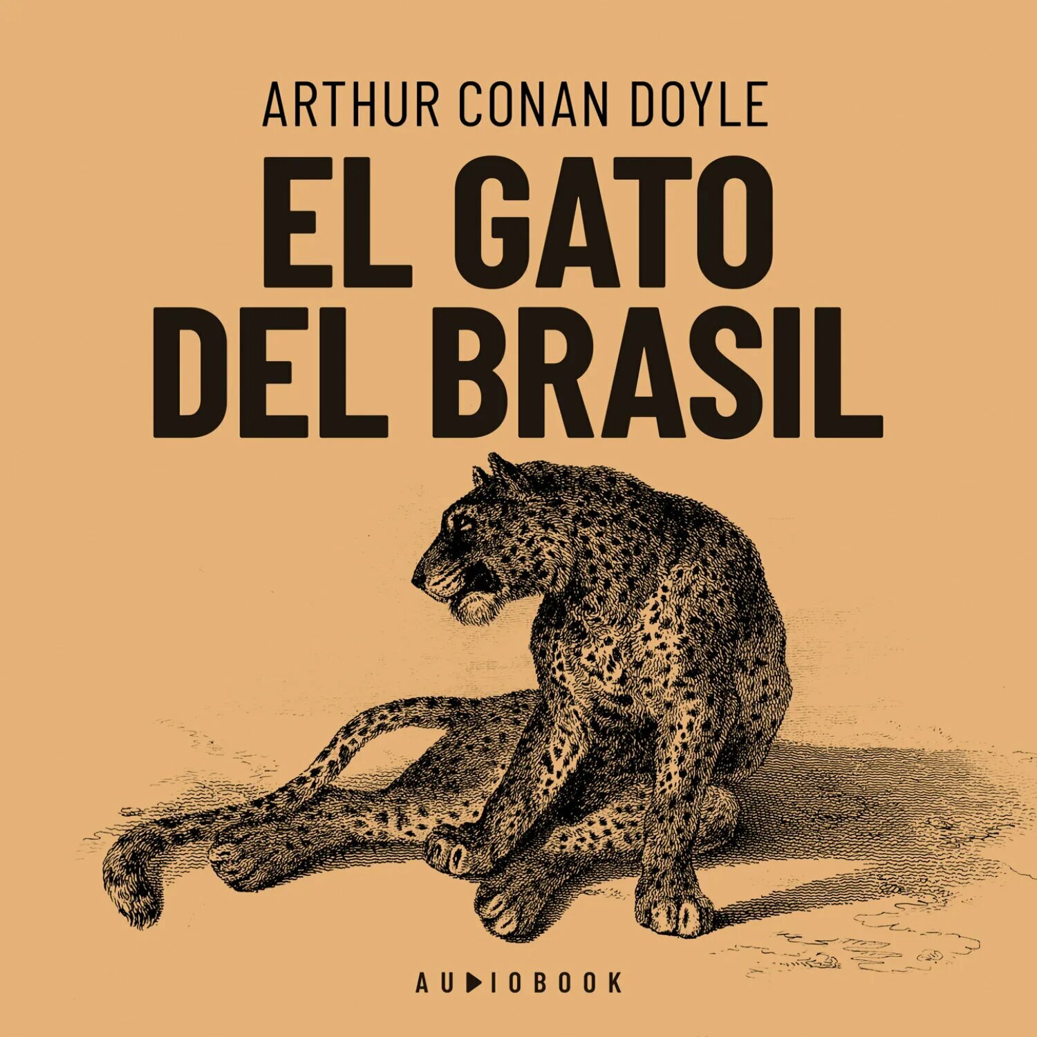 El gato del Brasil [Аудиокнига]