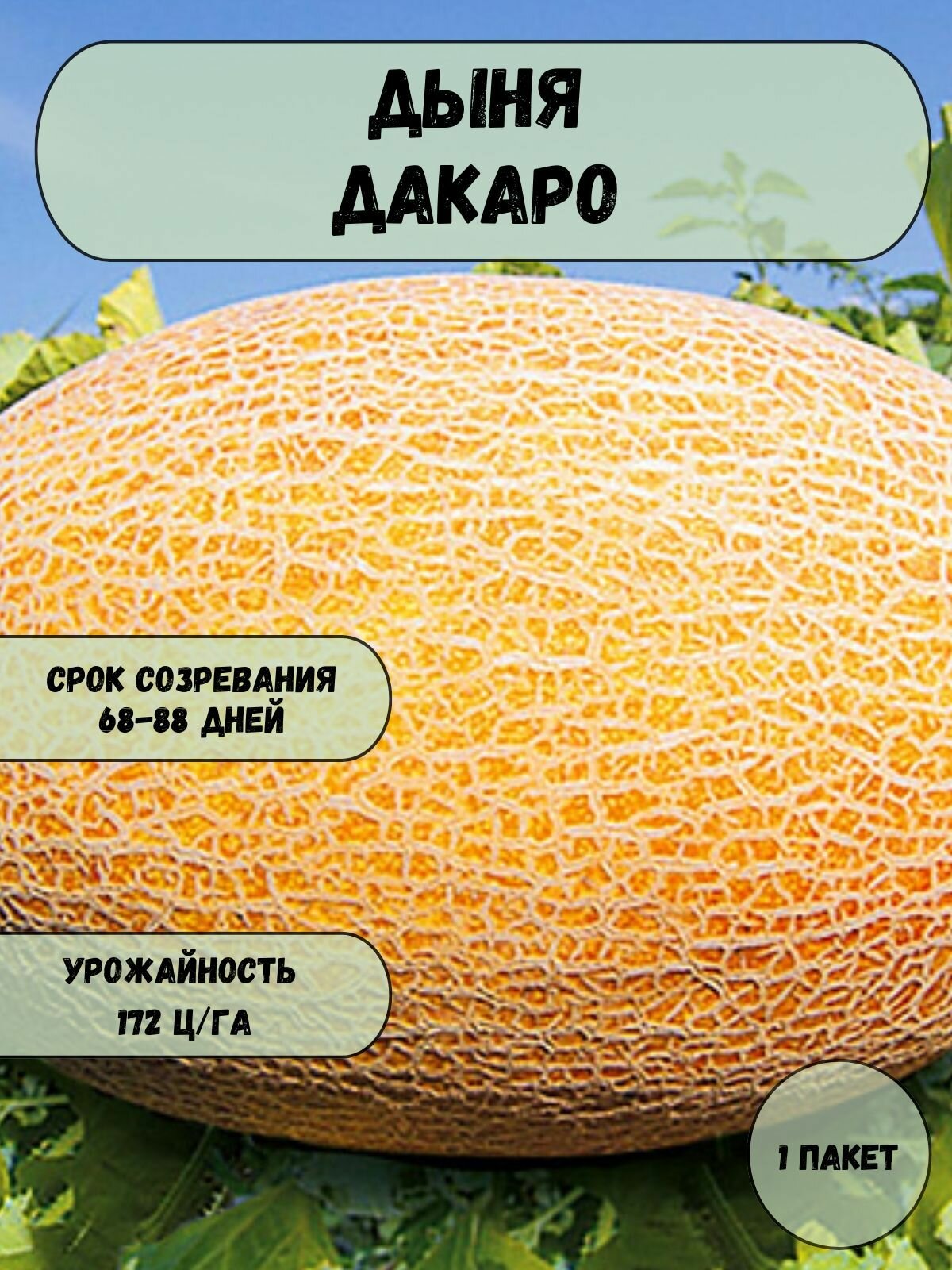 Дыня Дакаро F1 семена 10 шт
