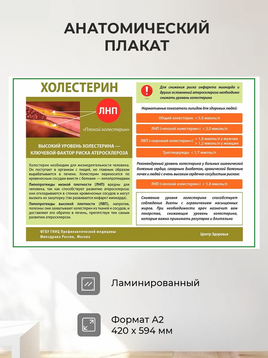 Обучающий медицинский плакат ламинированный формат А2 Холестерин