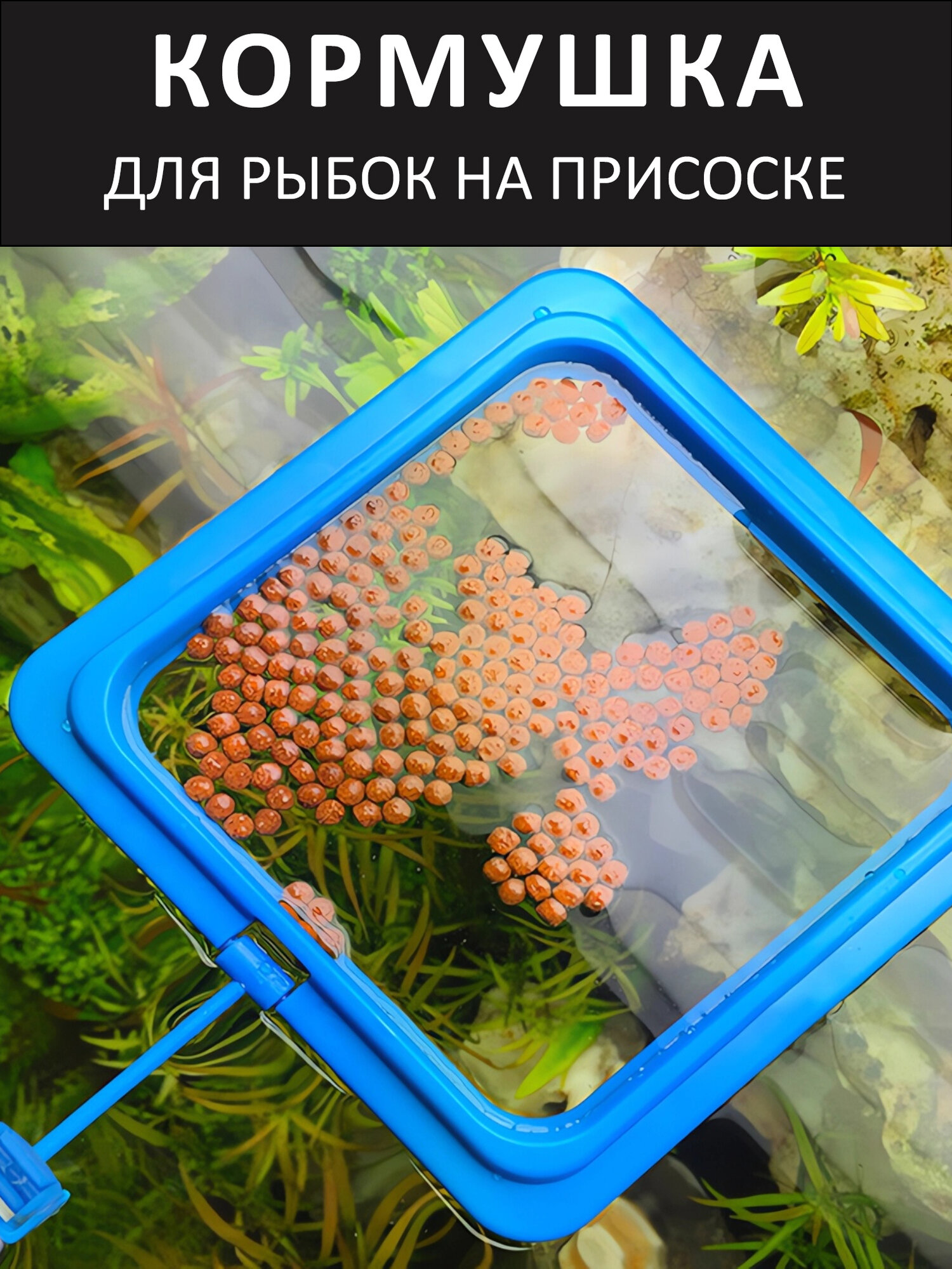 Кормушка для рыбок "На присоске", квадратной формы, светло-синяя, 10 см x 10 см