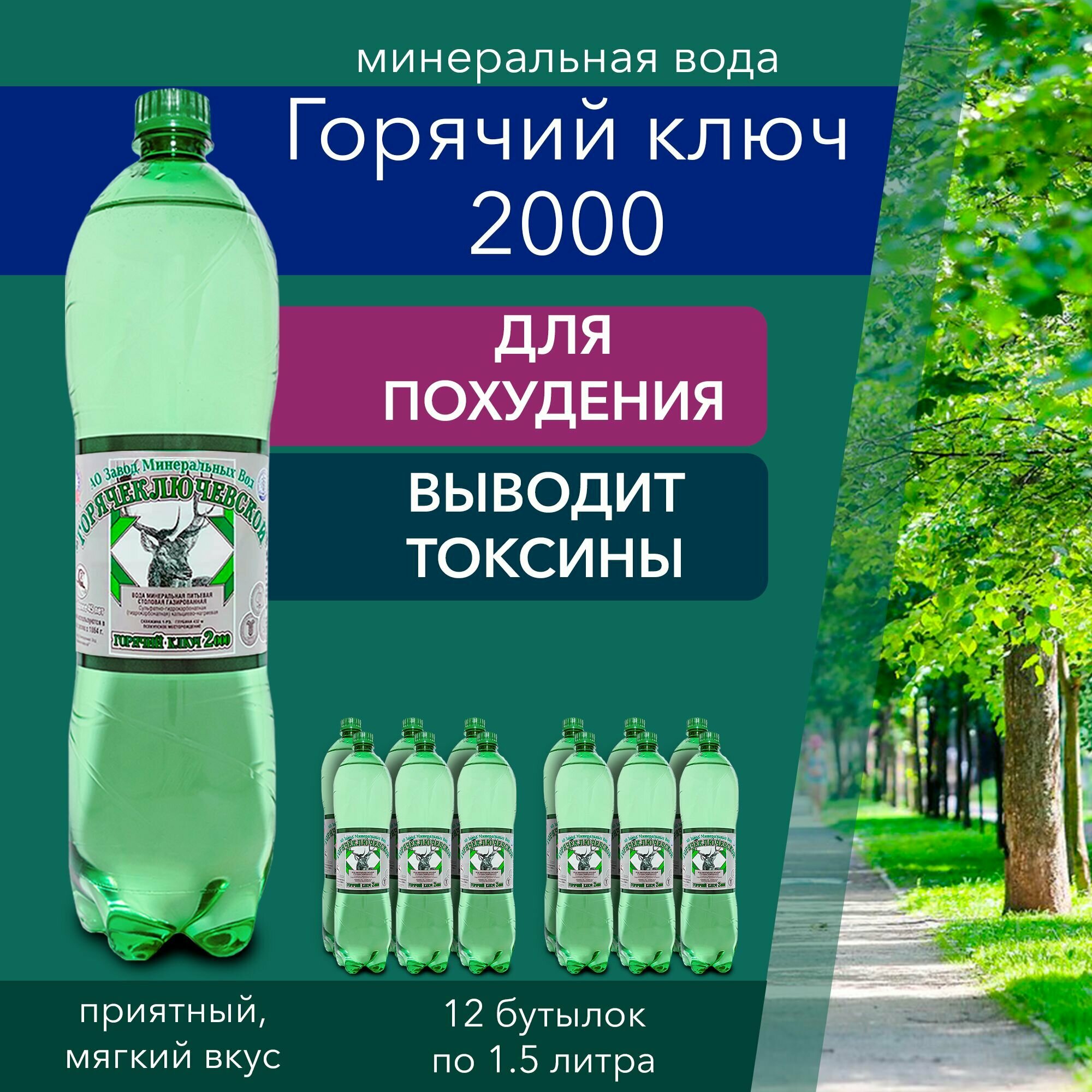 Вода Горячий Ключ объем 1.5 л*12 шт. Вода минеральная газированная природная целебная лечебная, выводит токсины