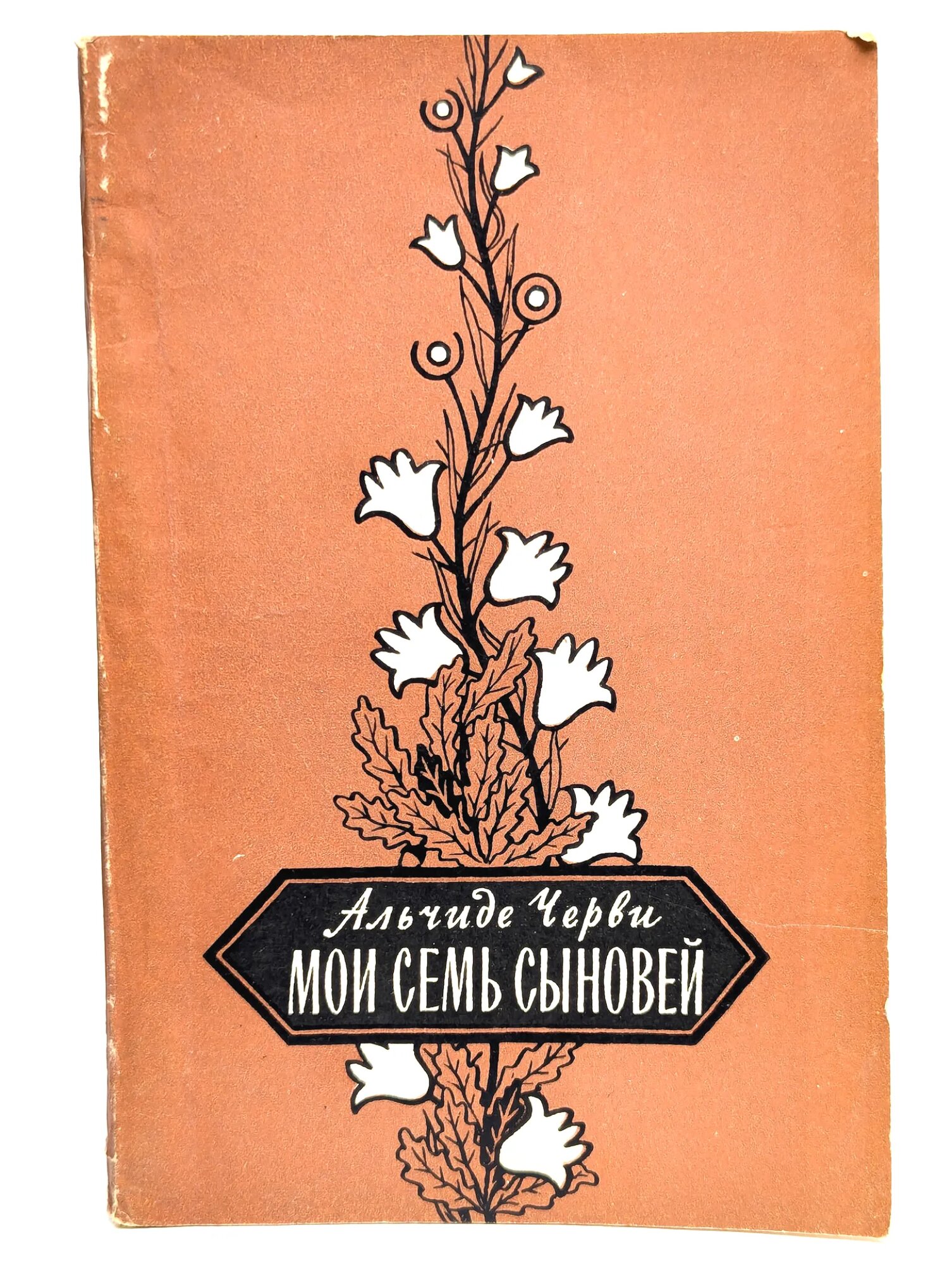 Мои семь сыновей Альчиде Черви 1956