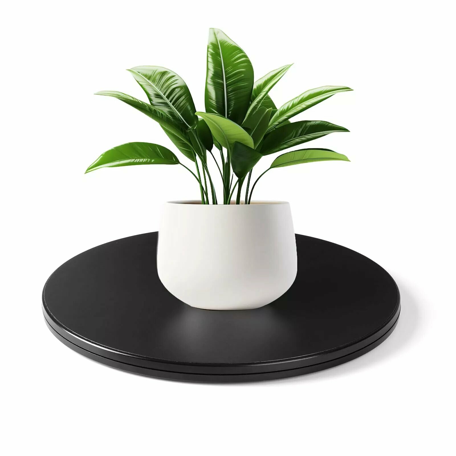 CREALITY 3D printer scanner manually operates the turntable and rotates it 360° — фото 1