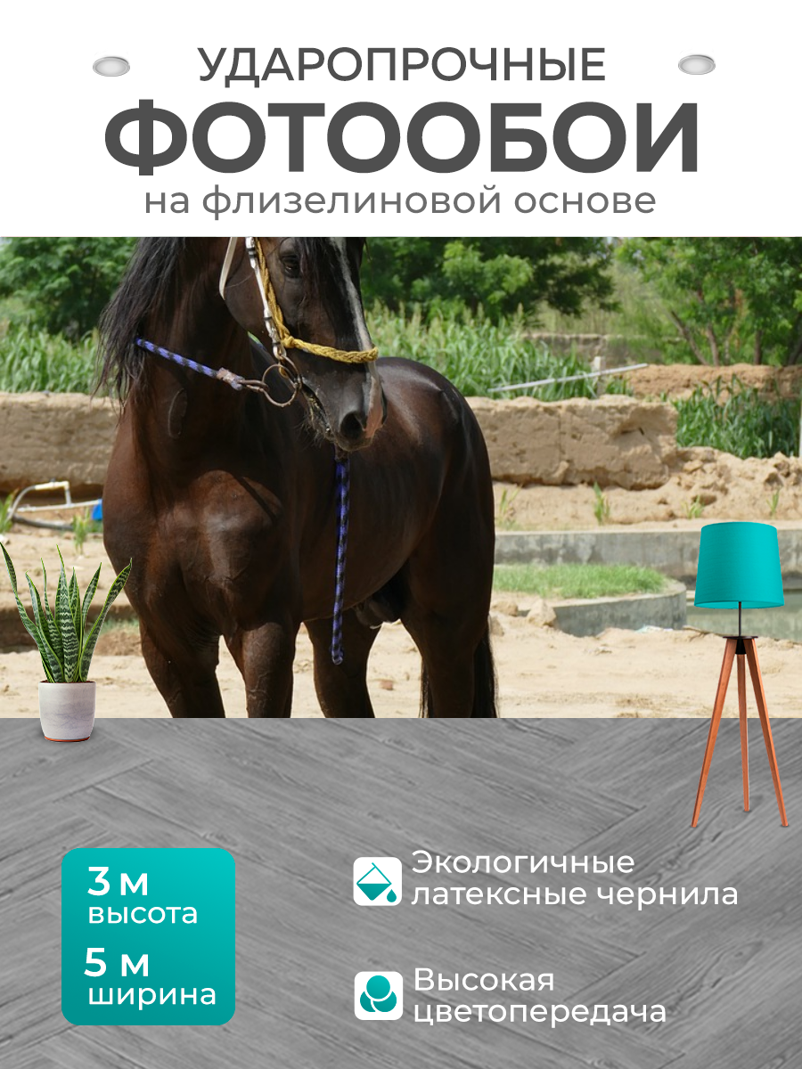 Фотообои моющиеся ударопрочные "Лошадь, грива, ферма" 500x300 см. флизелиновые на стену
