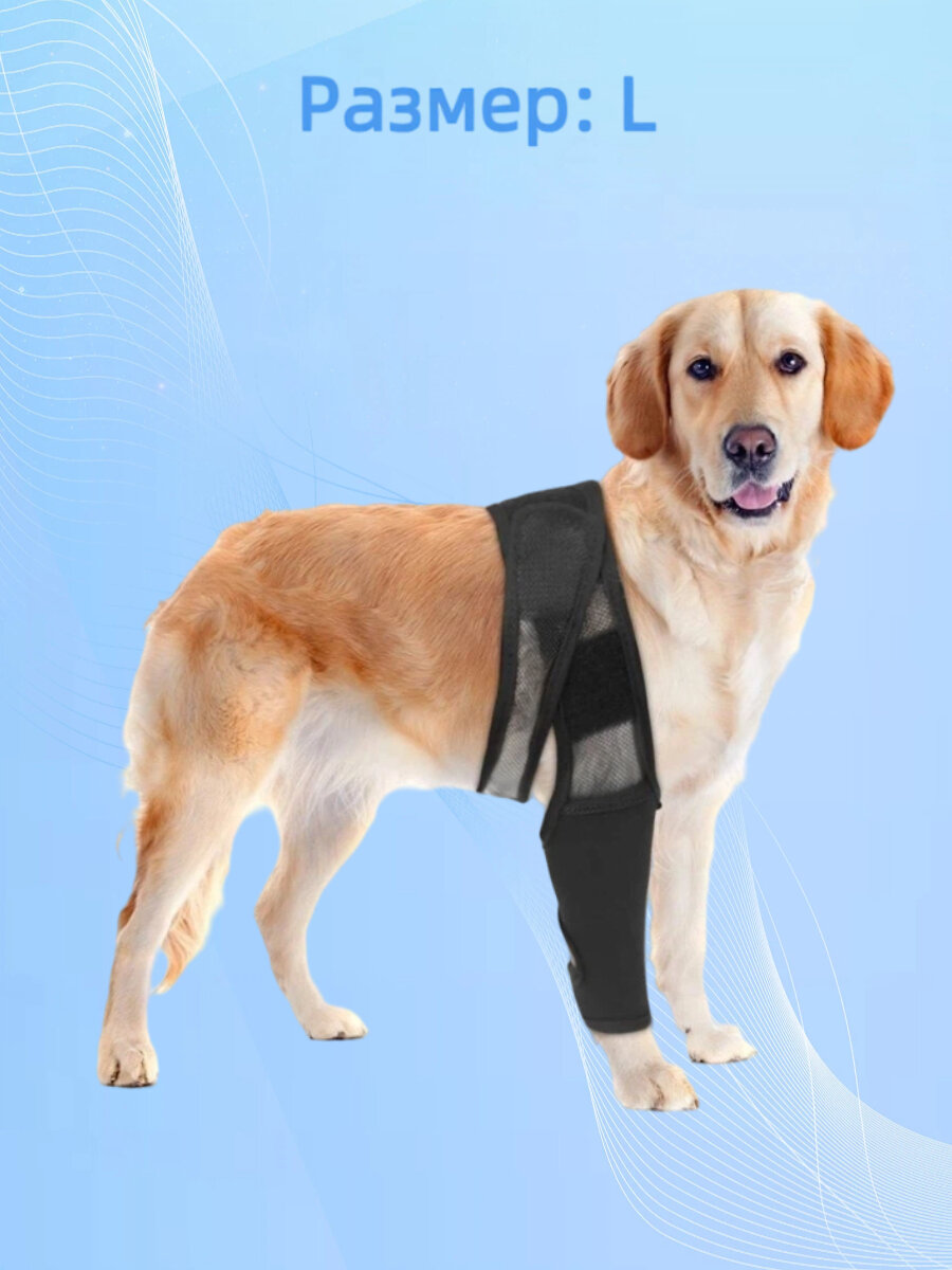 Бандаж на локтевой и коленный сустав, протектор для лап, фиксатор колена для собак, при травмах ног, наколенники на передние и задние лапы