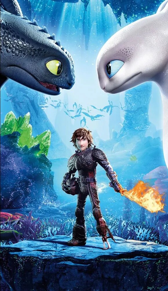 Алмазная Мозаика "как Приручить Своего Дракона" 40X50м Алмазная Вышивка / Картина Стразами Подарков / Украшения